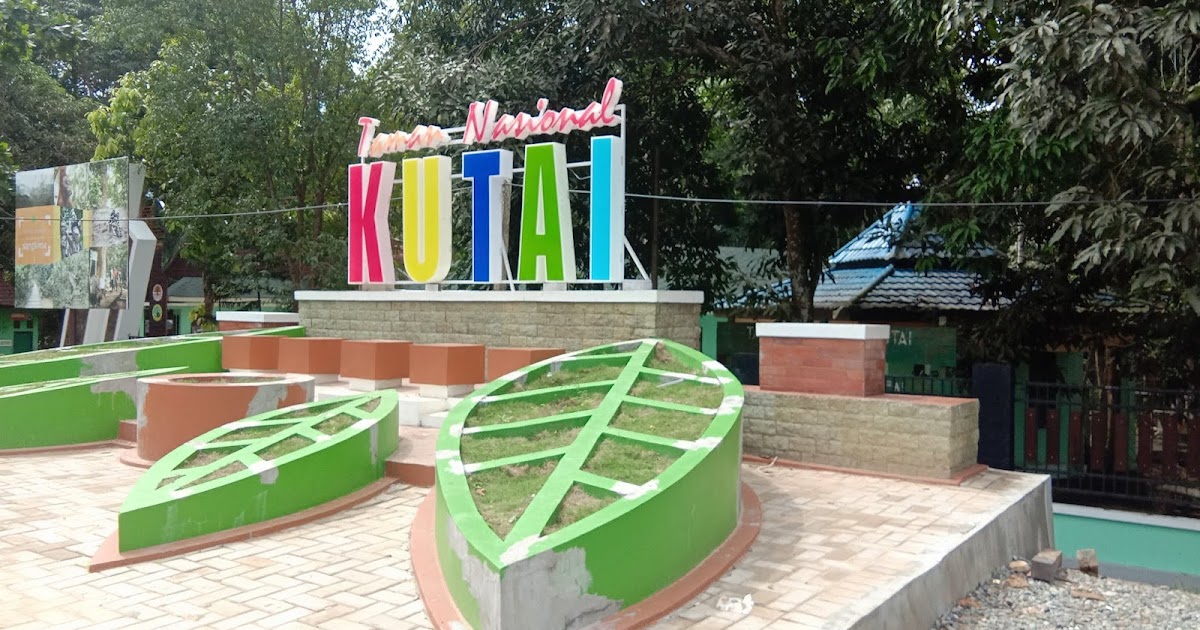 POHON ULIN BERUSIA 1000 TAHUN DARI TNK SANGKIMAH TO HINDUSTAN (IRONWOOD ...