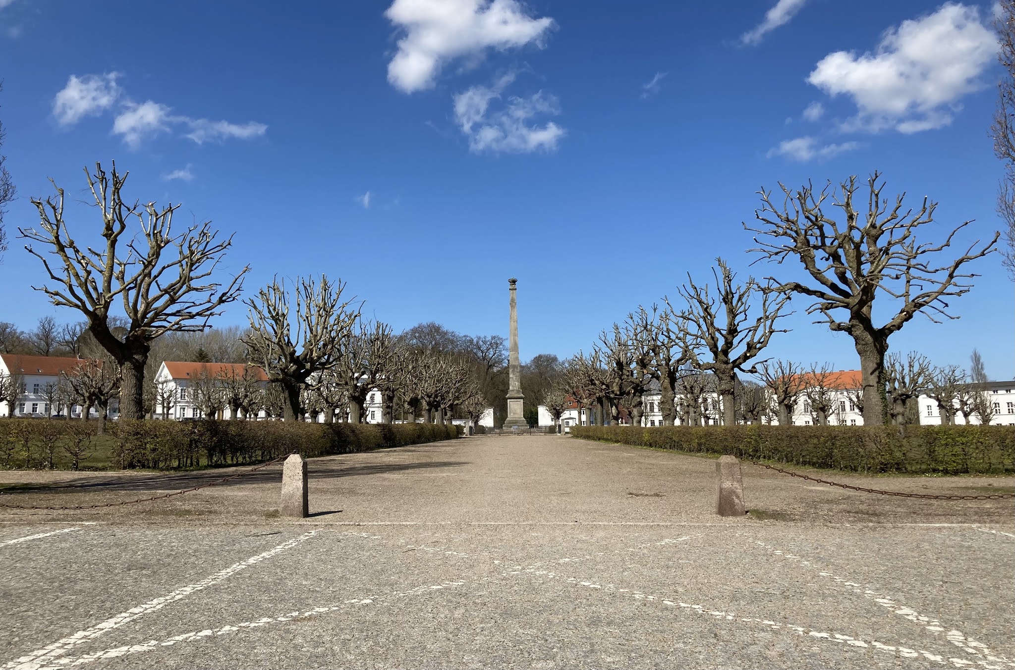 Kopfschnitt durch "Baumfriseur" - Muttländer