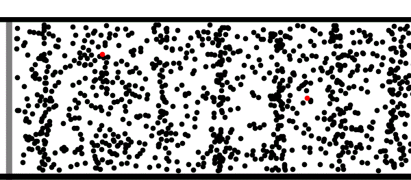 Longitudinal and Transverse Waves|Wave Motion