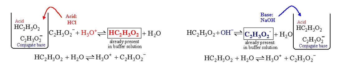 Enroque de ciencia: ¿Qué es un buffer bicarbonato? (2)
