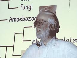 TAXONOMIA Y SITEMATICA: HISTORIA DE LA TAXONOMÍA