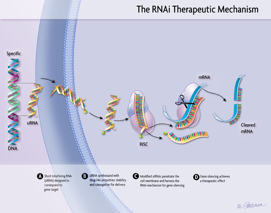 Biopharmaceuticals Exploring RNA Therapy