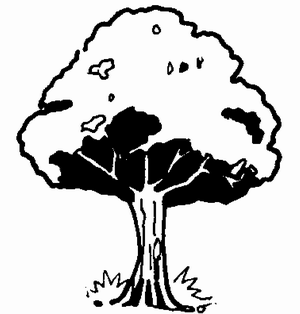 Sekitar Kawasan Sekolah: Gambar Outline_Bunga Pokok