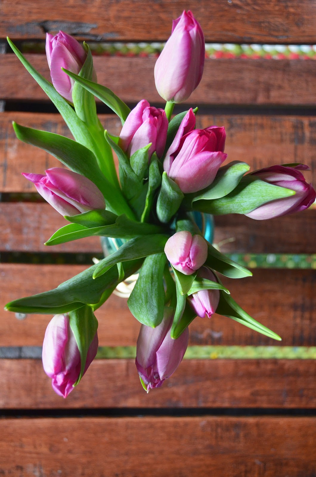 The Rife Observatory