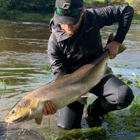Tay Salmon Fishing Scotland: THE TAY LIVES UP TO IT’S BIG FISH REPUTATION!