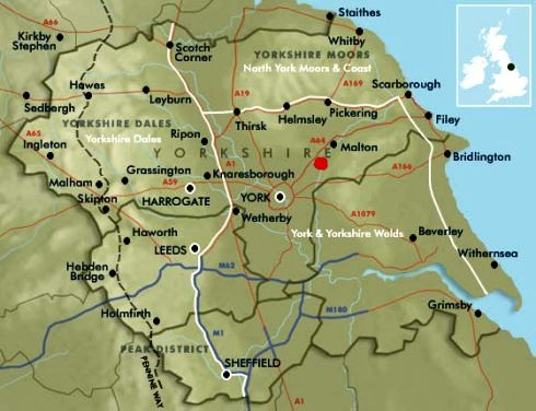 Cranberry Morning: Kirkham Priory North Yorkshire