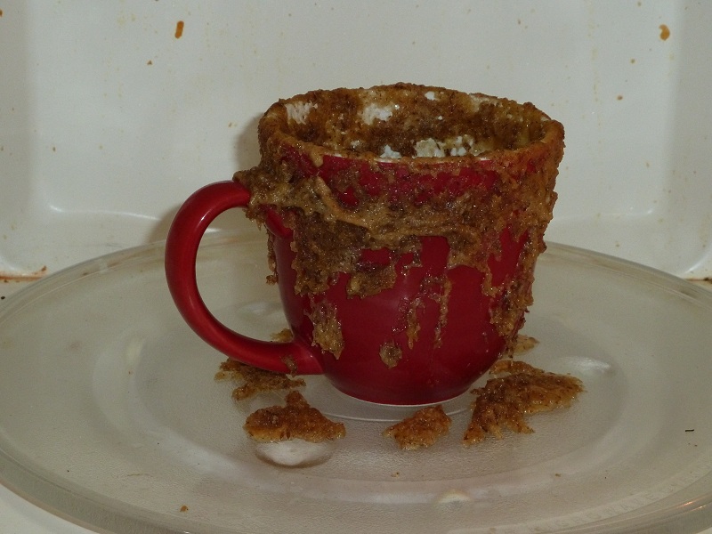 Tomatoes for Apples: Vegan PB mug cake FAIL!
