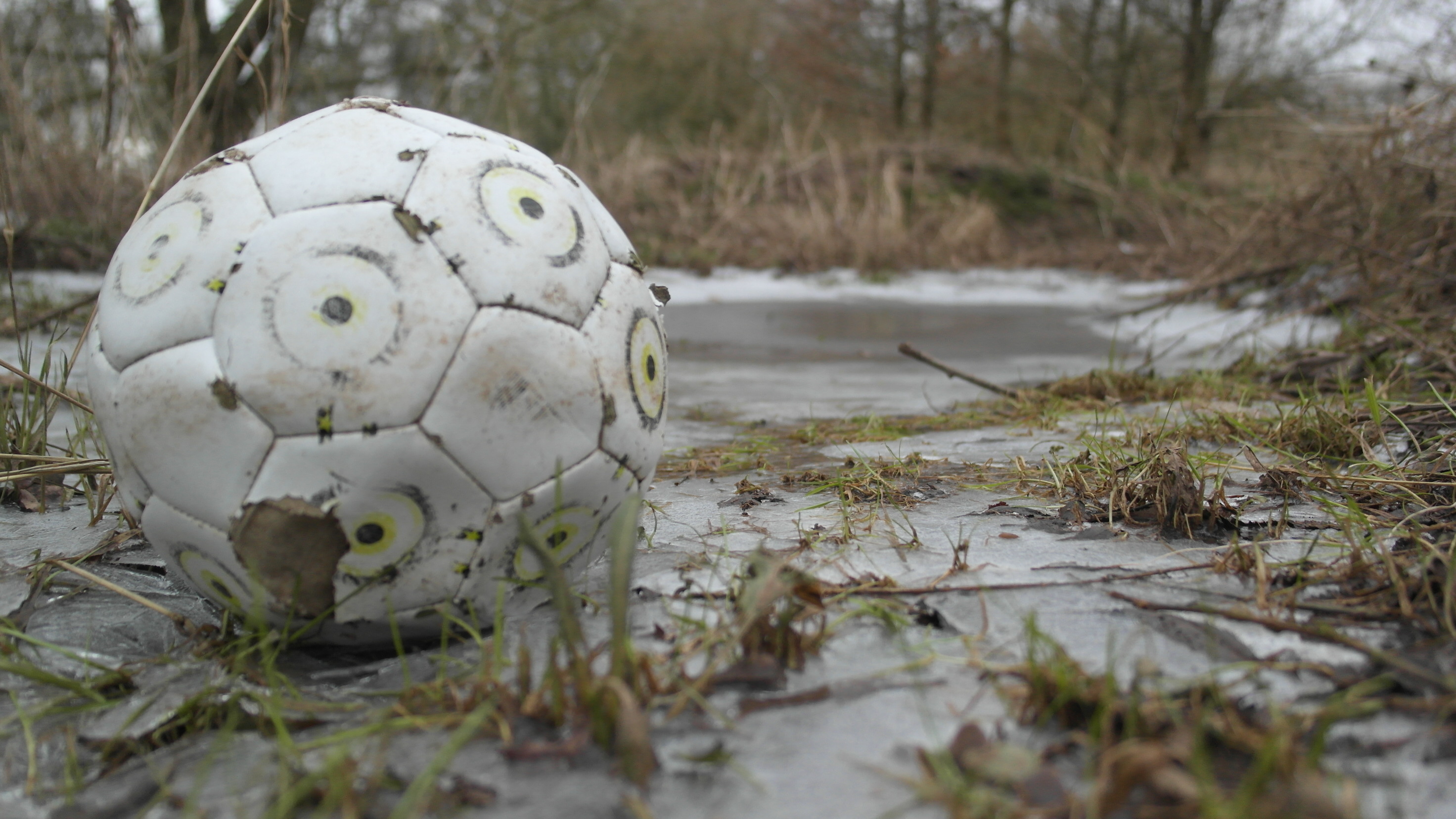 Piscatorial Quagswagging: The Tiny River Alne - Mussitation and Mustelids