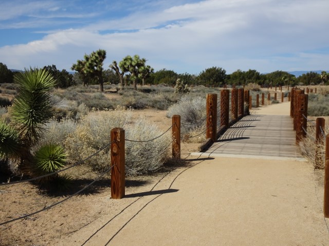 Walkabout With Wheels Blog: Visiting Prime Desert Woodland Preserve in ...