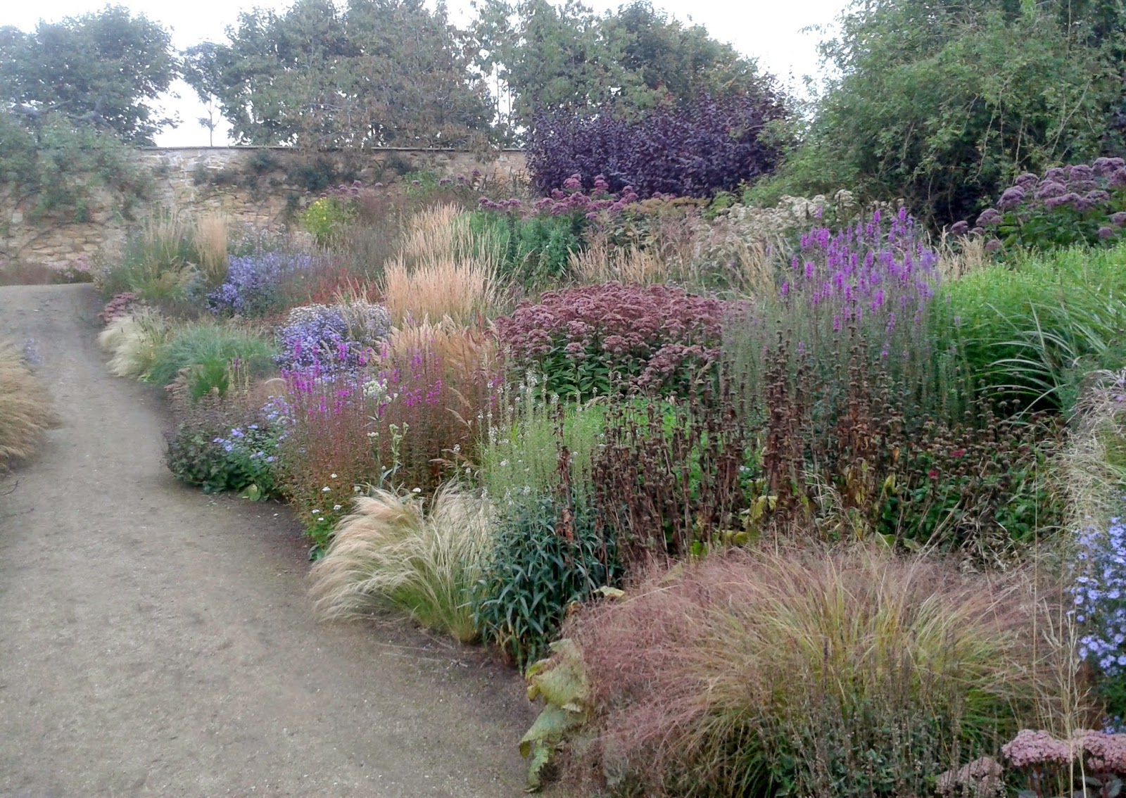 Starting the Prairie border