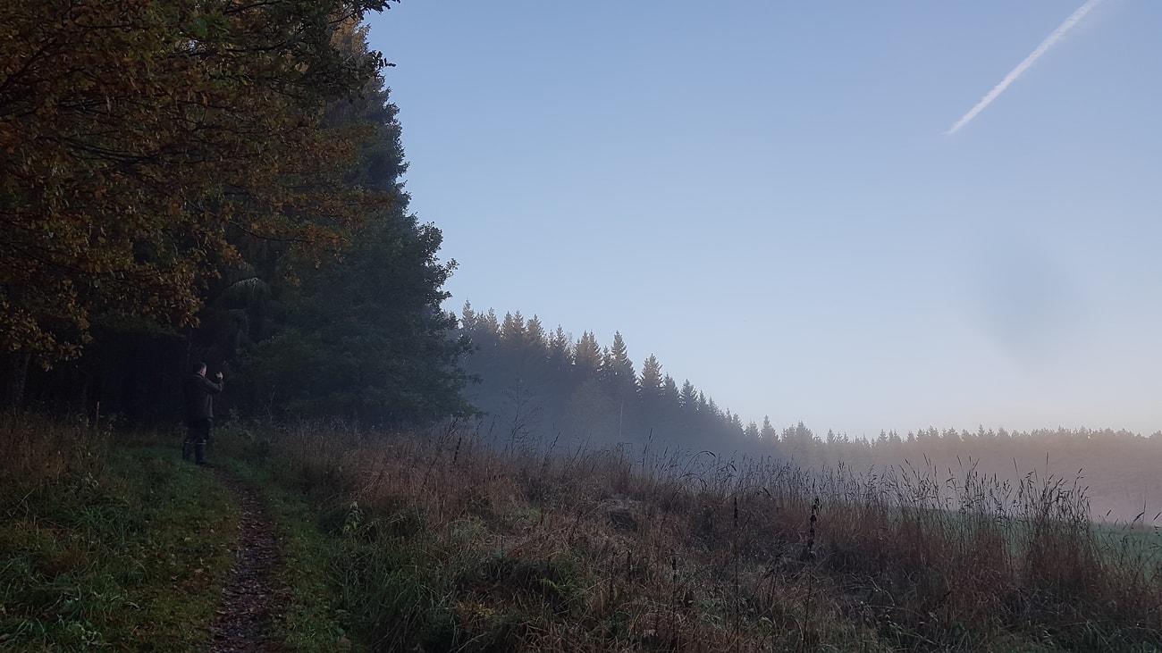 Risslan metsäpolku Raaseporissa