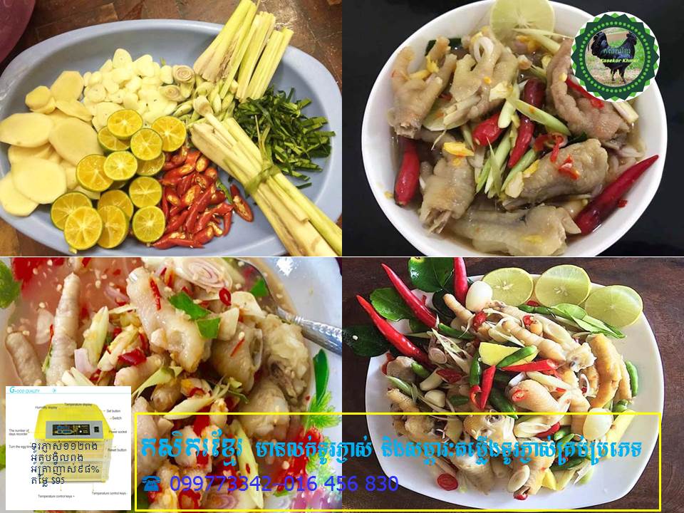 កសិករខ្មែរ-Kasekor Khmer