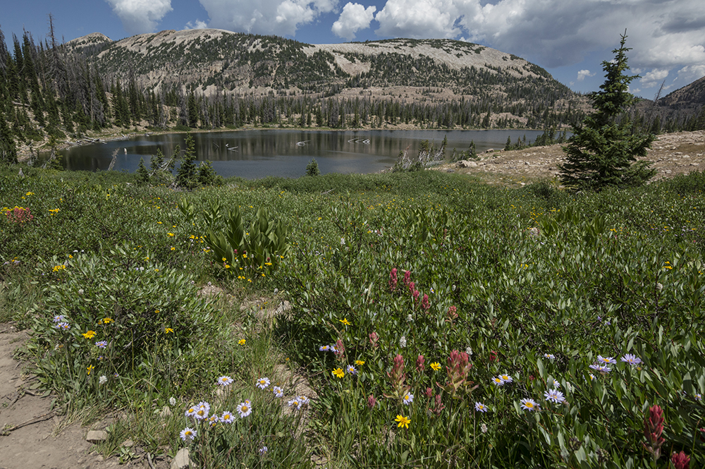 Trails Trekker: Three Divide Lakes Loop/Clyde Lake Loop