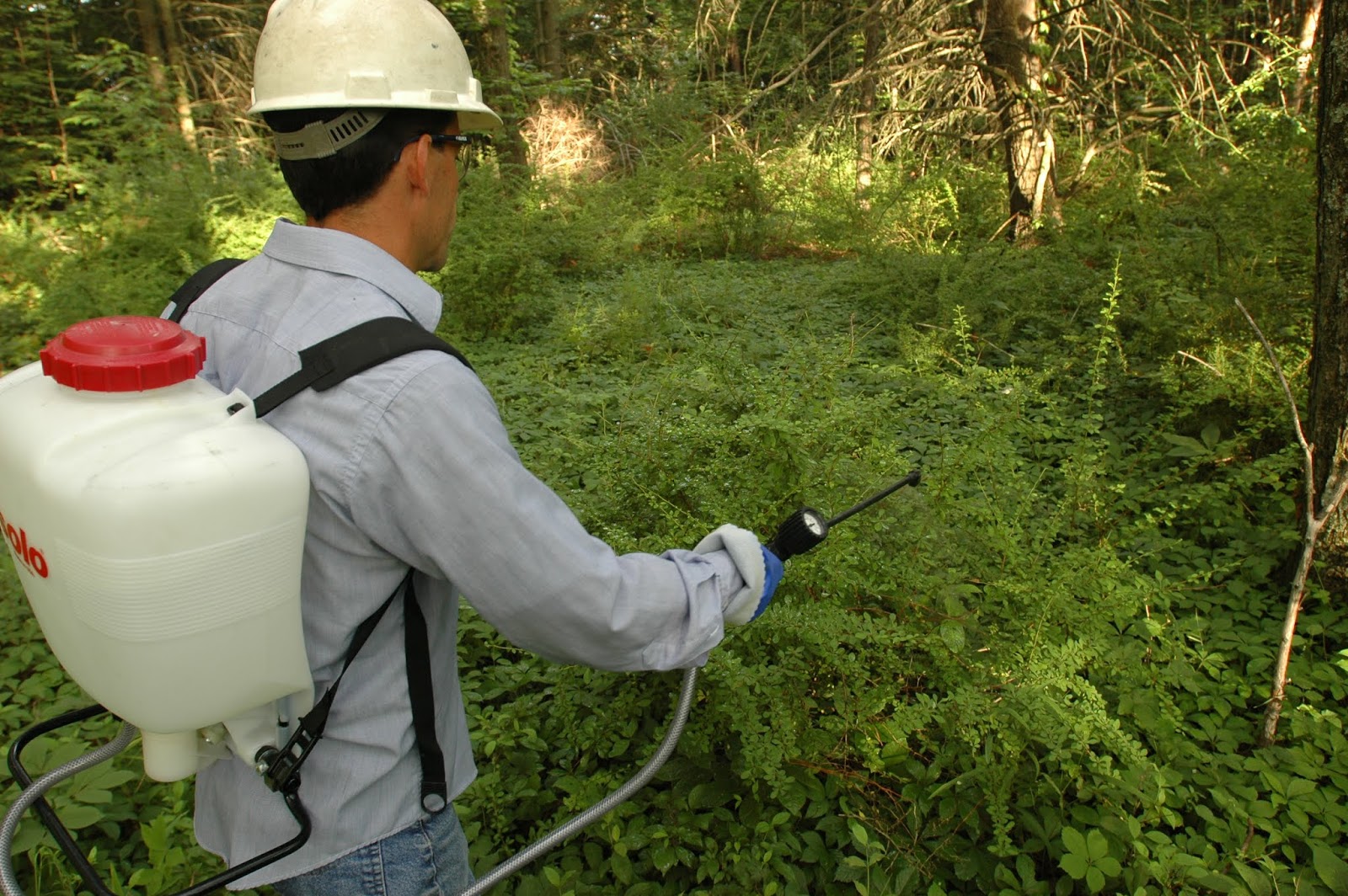 Central Pennsylvania Forestry: Webinar series offered on using ... Central Pennsylvania Forestry: Webinar series offered on using ...
