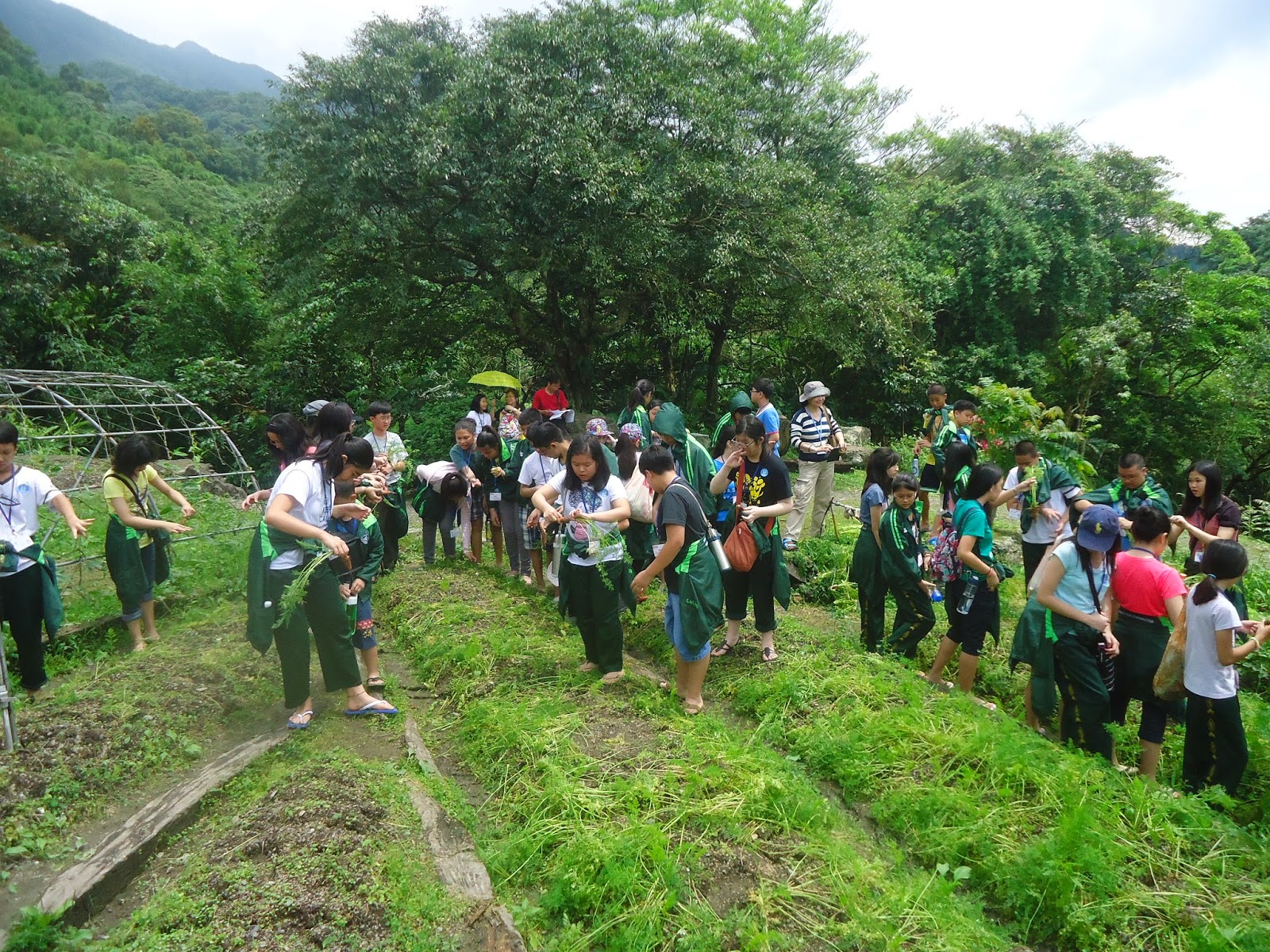 Toucheng Leisure Farm: MGC New Life Christian Academy, Philippines. Toucheng Leisure Farm: MGC New Life Christian Academy, Philippines.