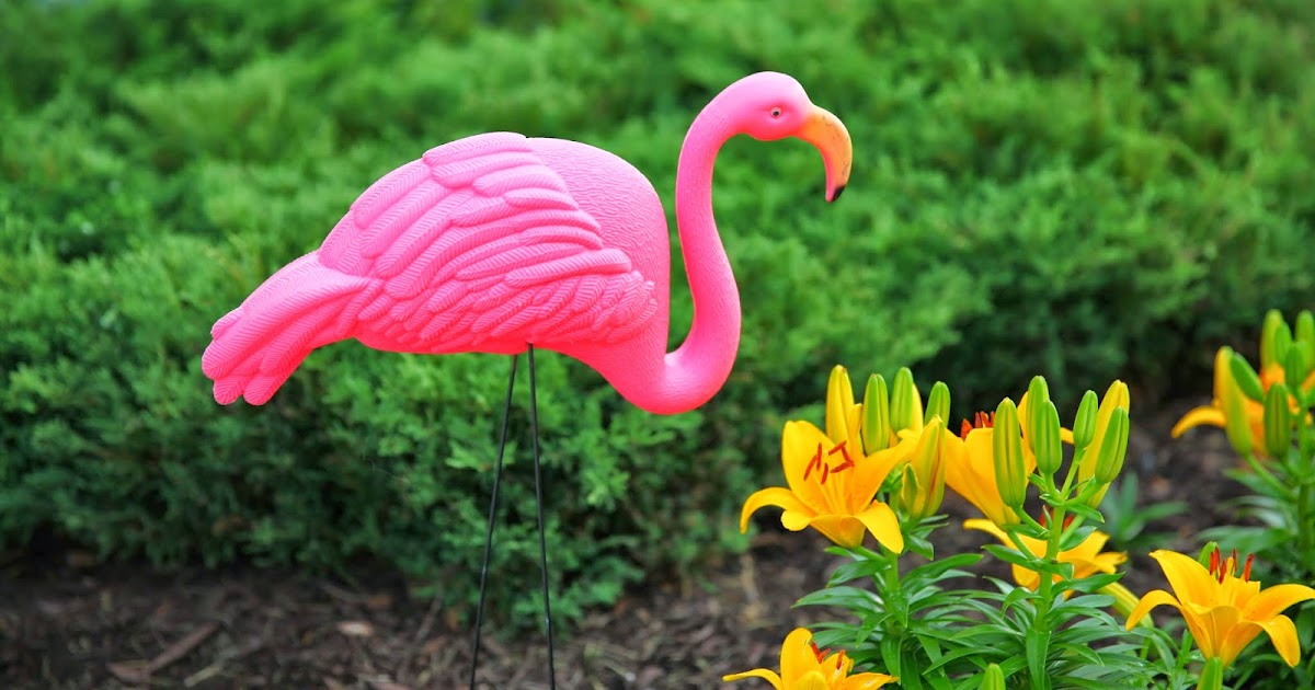 Autumn Walk @ Emerson: Flamingo Rising