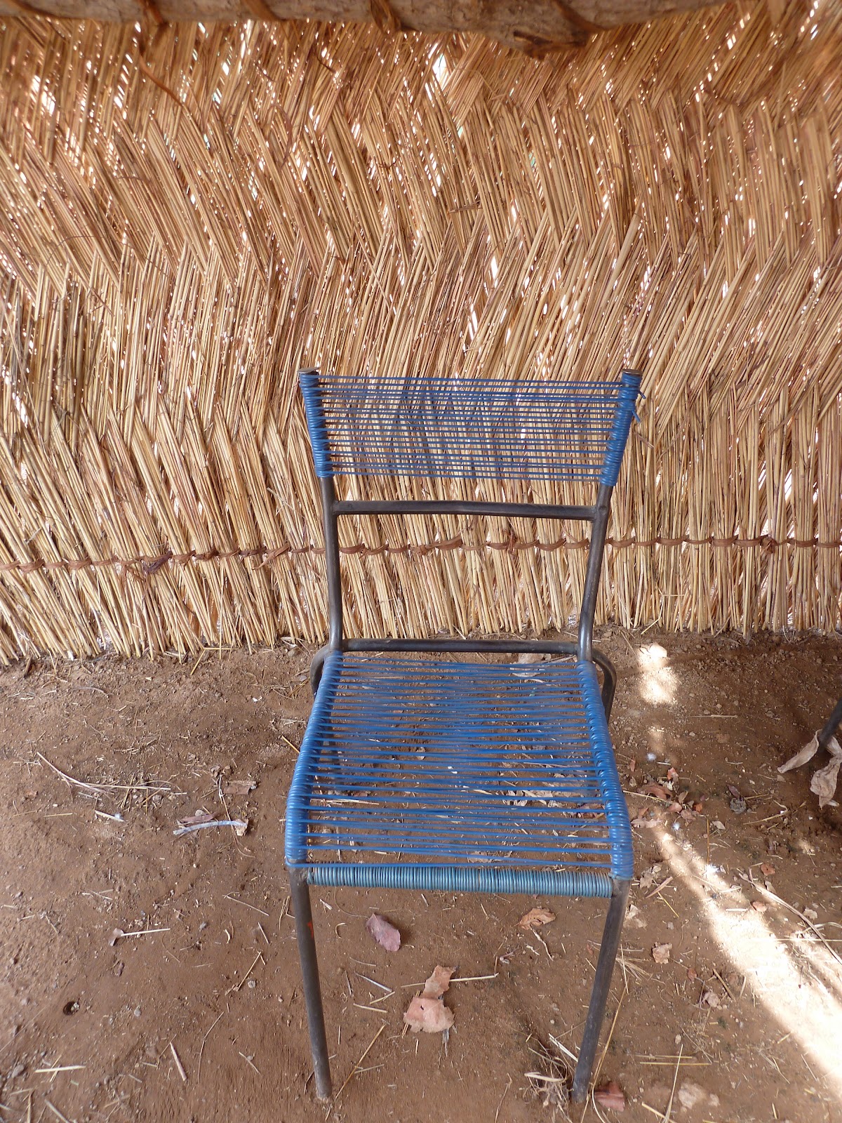 Cass and Carolyn in the Peace Corps: Chapter 8: Malian Inventions We Love!