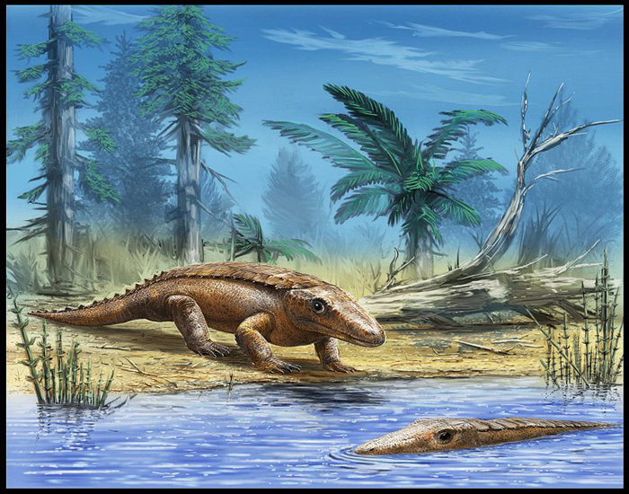 Mi Geoblog: Geologia y más: LOS GRANDES REPTILES ACORAZADOS DEL ...