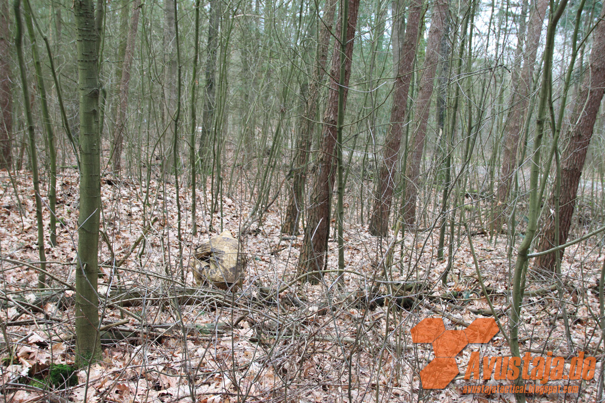 Avustaja Tactical Blog