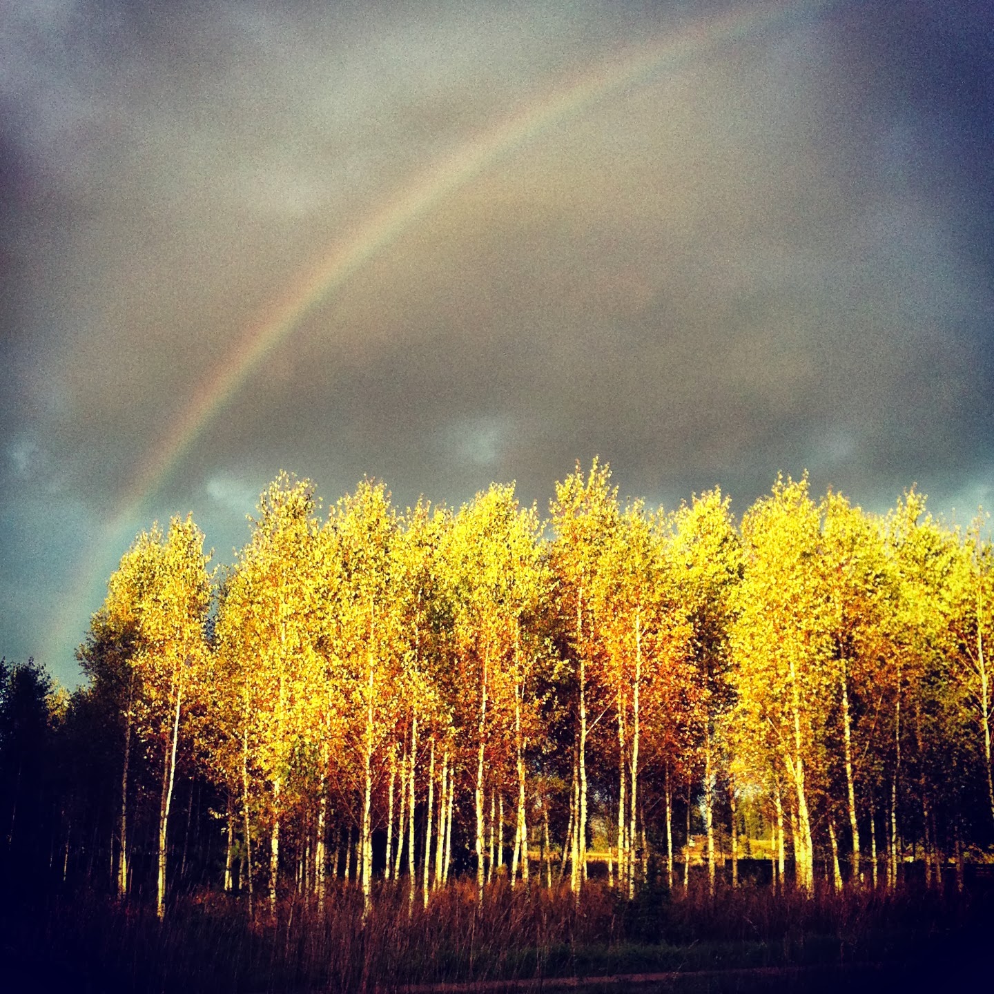 Statau sodyba: Ruduo