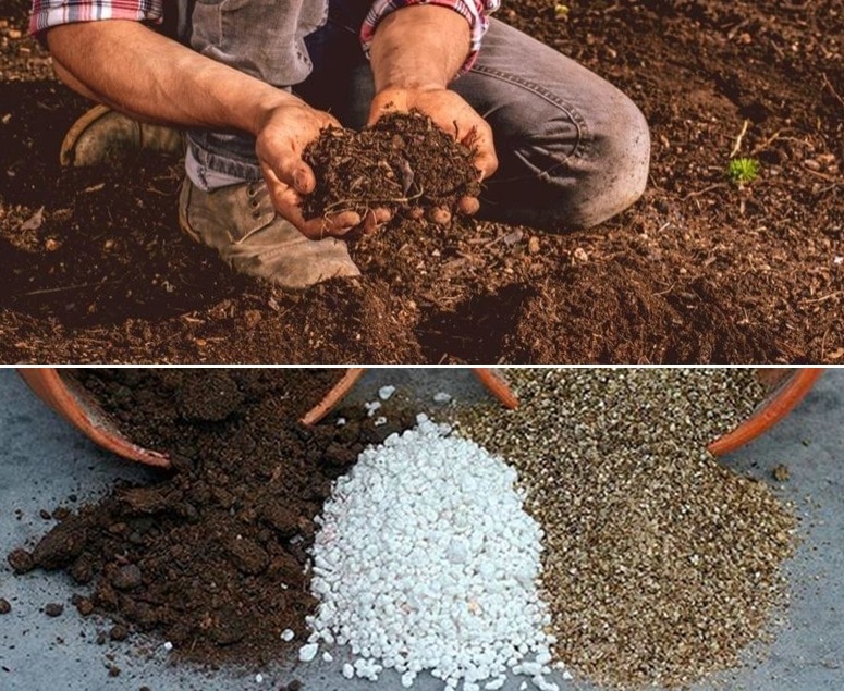 MAYORES DE CHAMARTÍN: CUIDA TUS PLANTAS. Los sustratos.