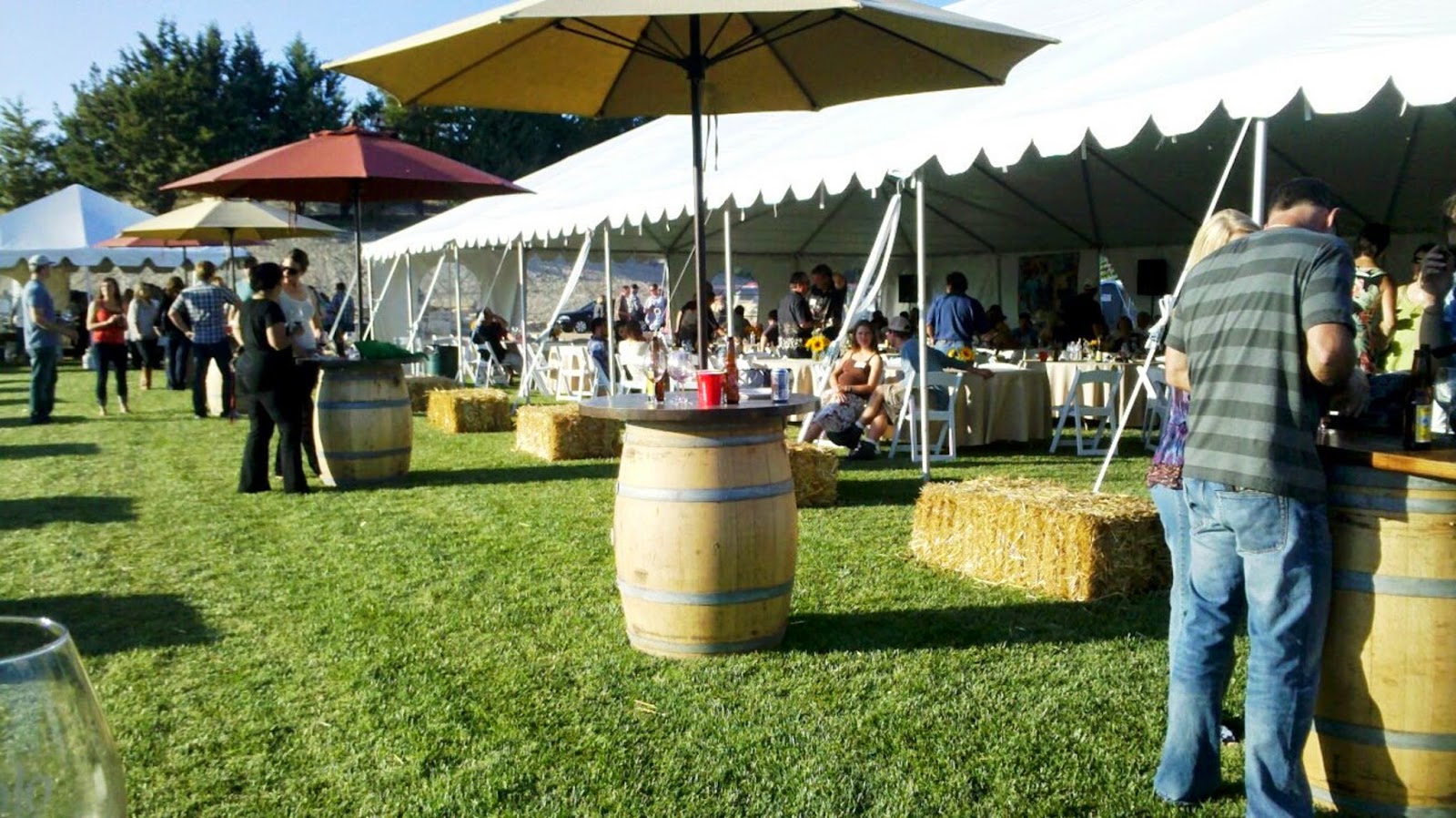 Top 5 Tips for Enjoying a Wine Festival