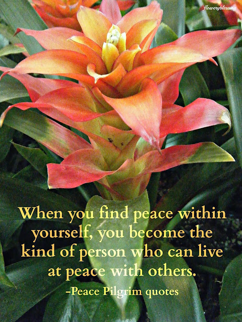 Flowery Blessing: When you find peace within yourself, you become the ...