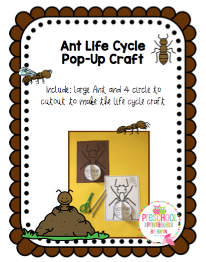 Ant Life Cycle Pop-Up Craft ~ Preschool Printables