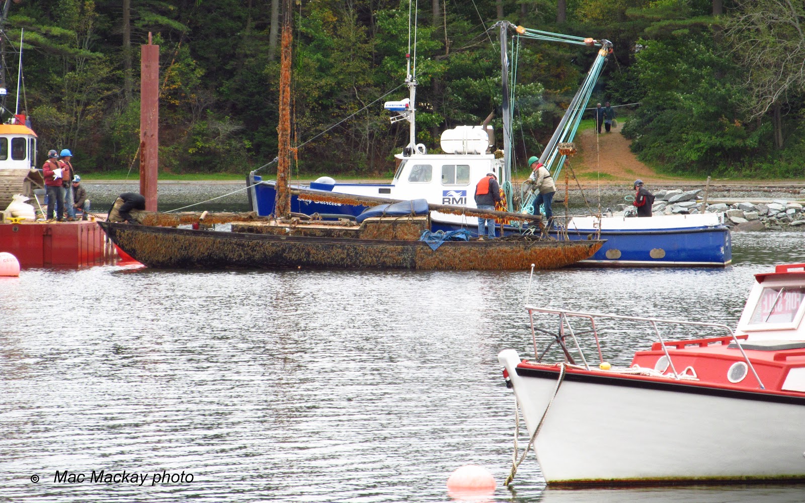 Shed Building Software: Boat Rascal Wooden Plans