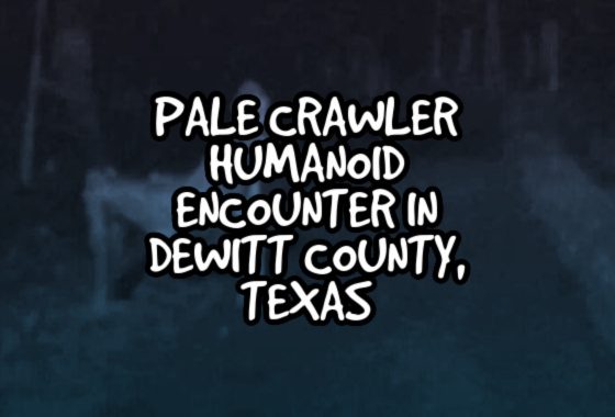 Please enable JavaScript