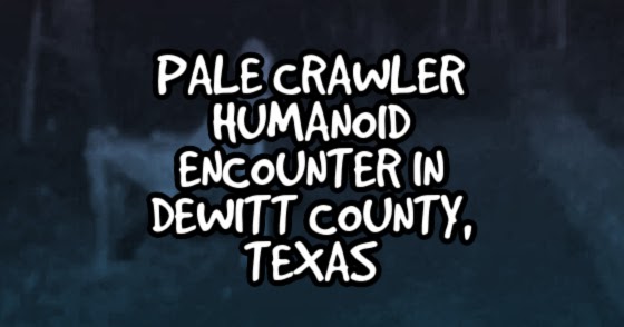 Phantoms and Monsters - Real Cryptid Encounter Reports - Fortean ...