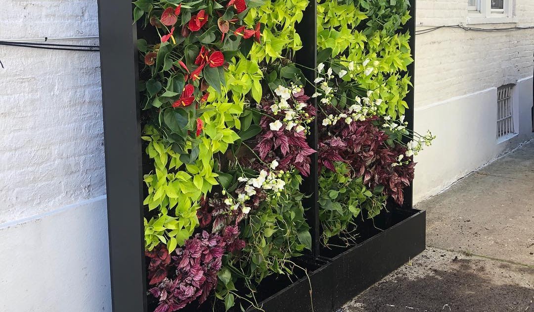 What are the Common Types of Green Wall Systems?