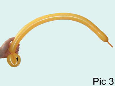 CLASSICAL: Balloon duck. Balloon goose. Balloon ostrich