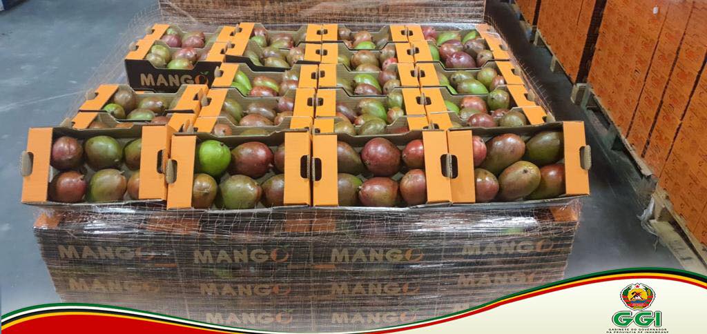 Arranca exportação de fruta de Inhambane para África do Sul