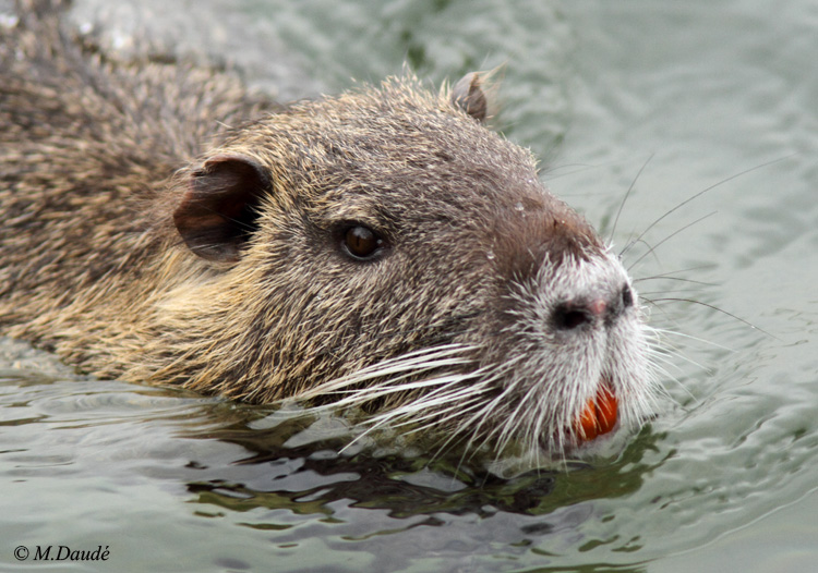 En savoir +: On en parle....