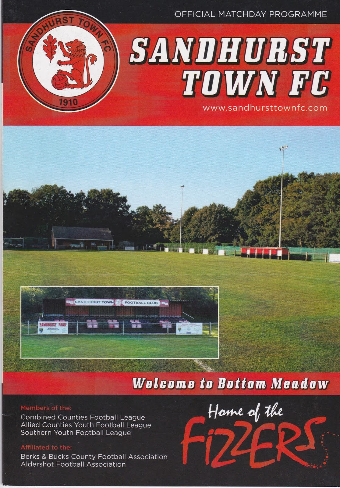 The Wycombe Wanderer: Sandhurst Town - Bottom Meadow