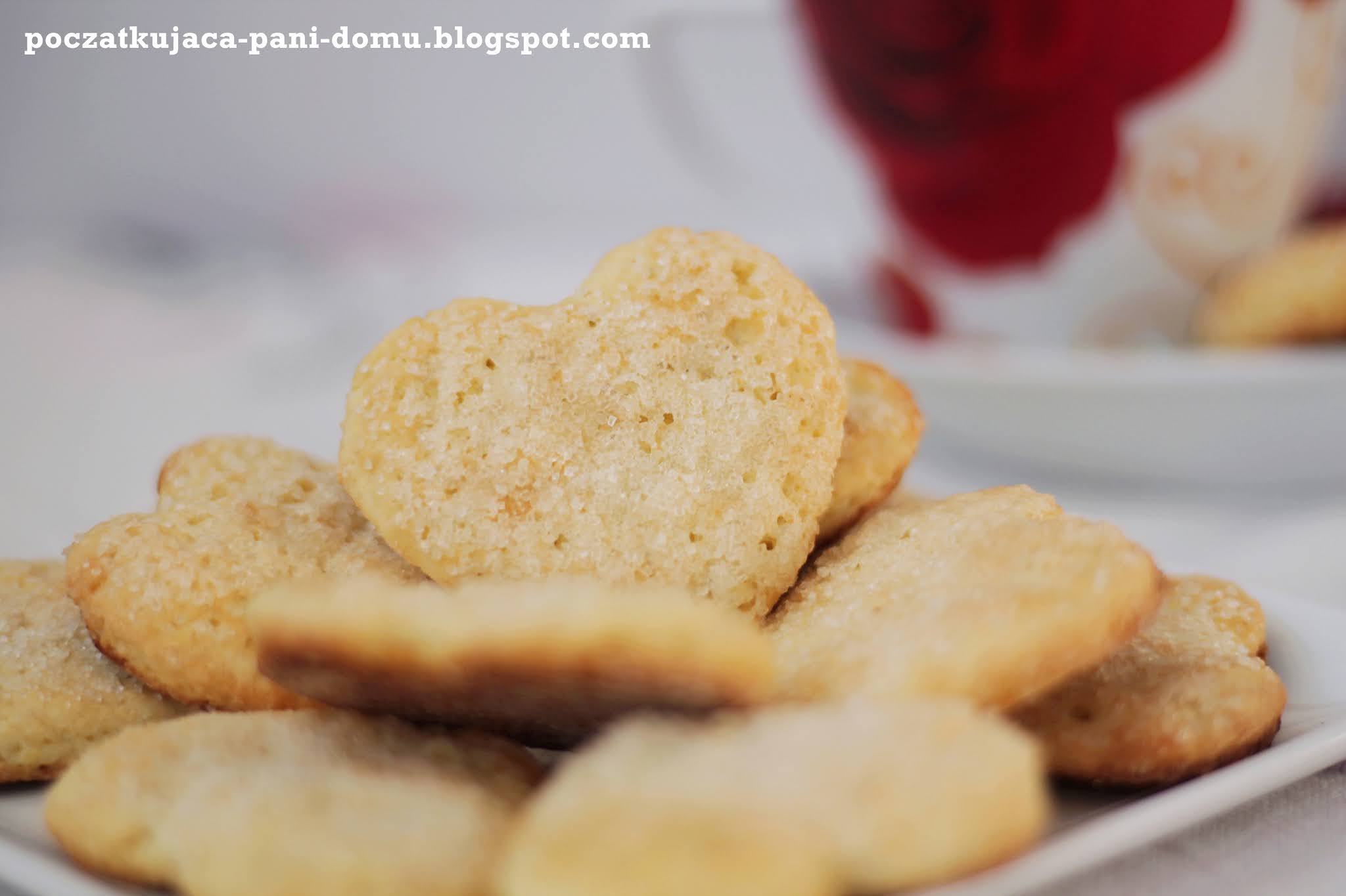 Początkująca pani domu: Amoniaczki, czyli tradycyjne ciastka na amoniaku.