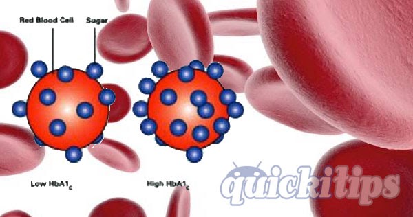 What is HBA1c test and importance and how to do it correctly - Quicki Tips
