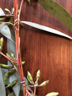 How To: Greenery Runner