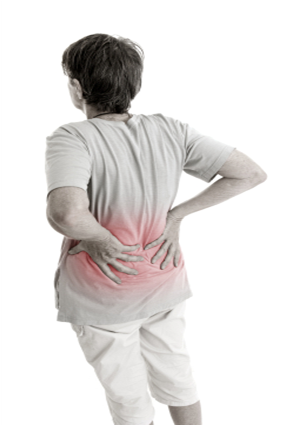 Sue's Health Blog: Oh, My Aching Back