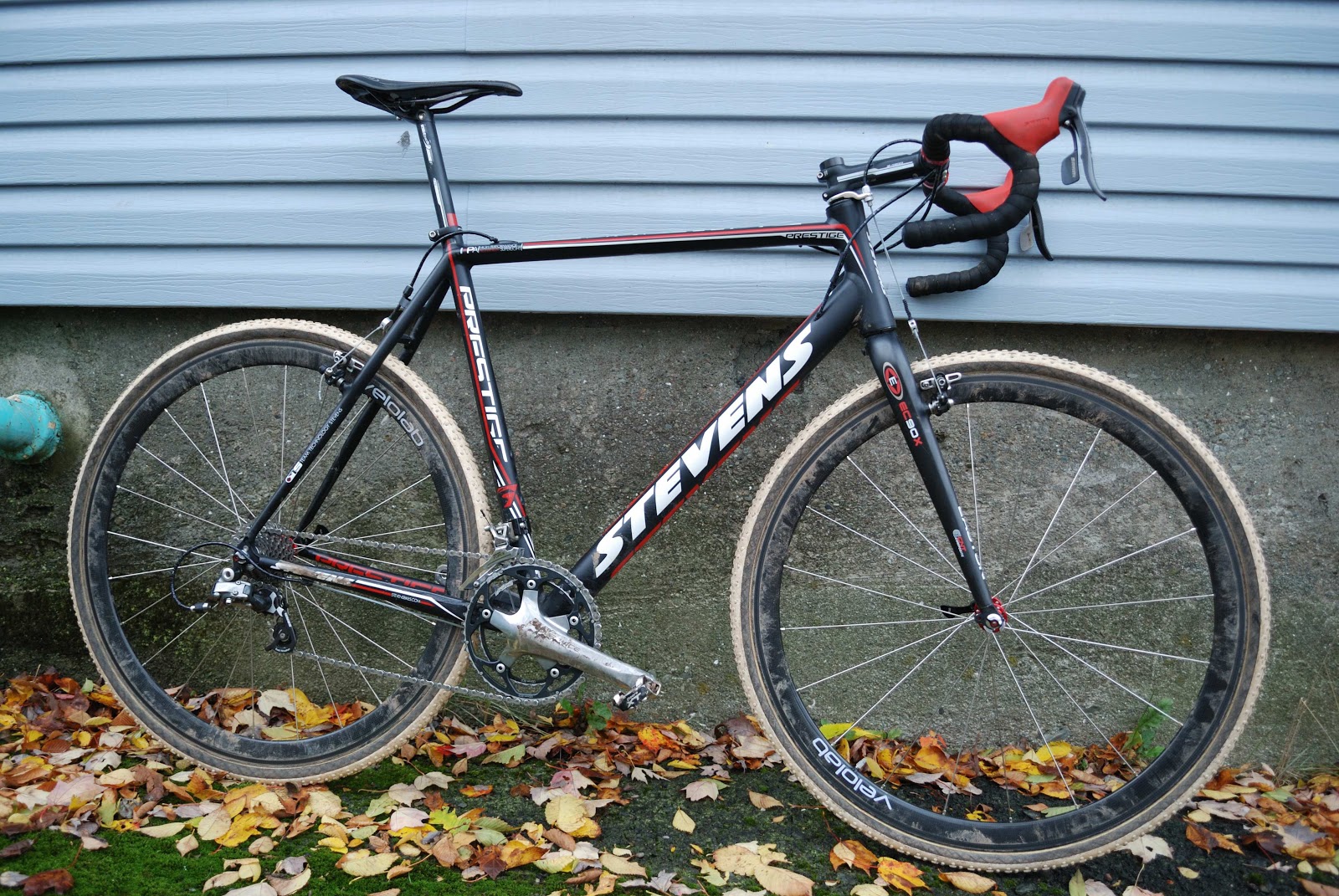 spring: stevens prestige