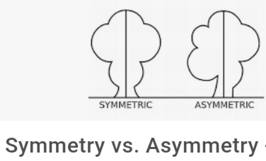 Symmetric and Asymmetric technology and warfare /सममित और असममित ...