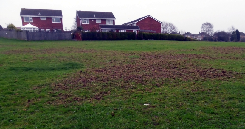Nigel Fisher's Brigg Blog: PUBLIC OPEN SPACE & VERGES IN BRIGG SUFFER ...