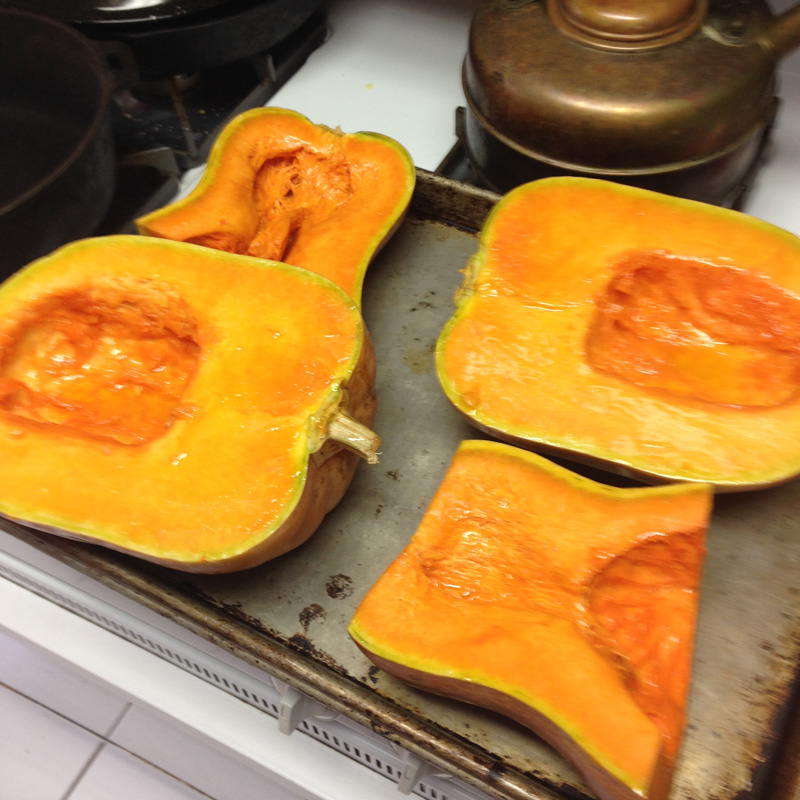 Journey to Middle Earth: Three Birds, One Stone; the gift of Palav Kadu