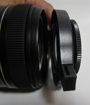 Gisel Simon Photography Blog: Raynox DCR-250 2.5x Super Macro ...