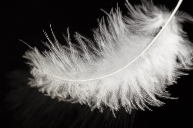 Cuento: El almohadón de plumas