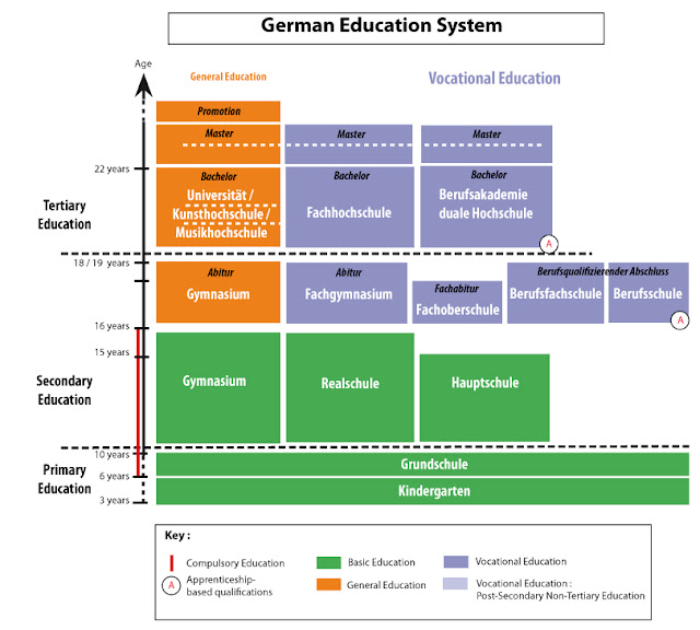 Do Different Tracks in Education Lead to Differences in Intelligence?