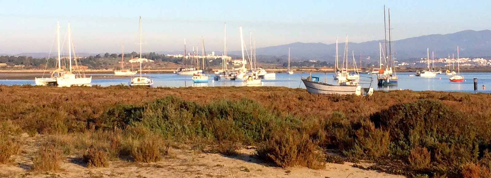 spaswinefood: Discovering the best of the Algarve in Alvor