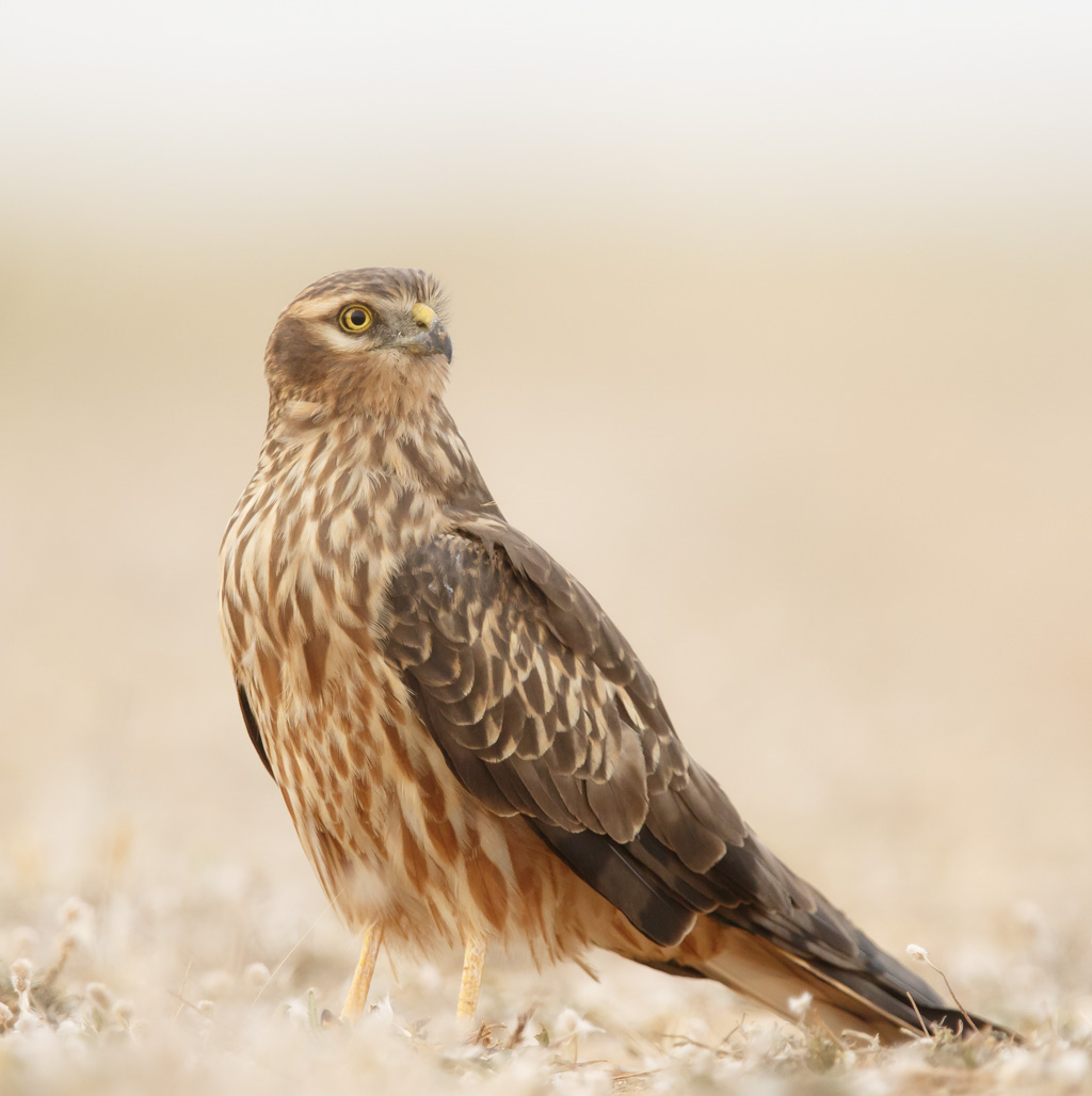 Nikos Fokas Photopraphy Blog