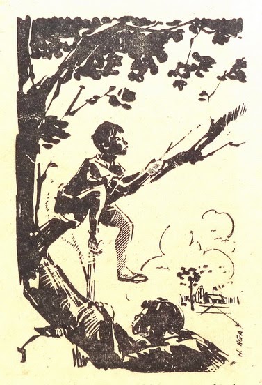 Tuổi Hoa và hơn thế nữa: Con Ve Ve